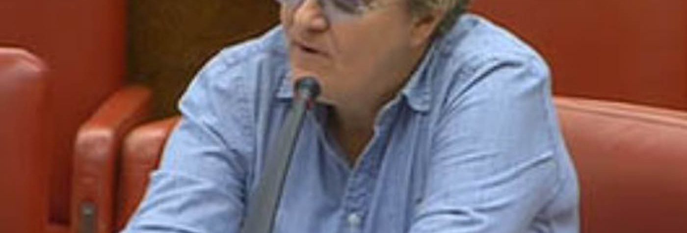 Ángeles Álvarez reafirma la posición del Gobierno y del PSOE en contra ...