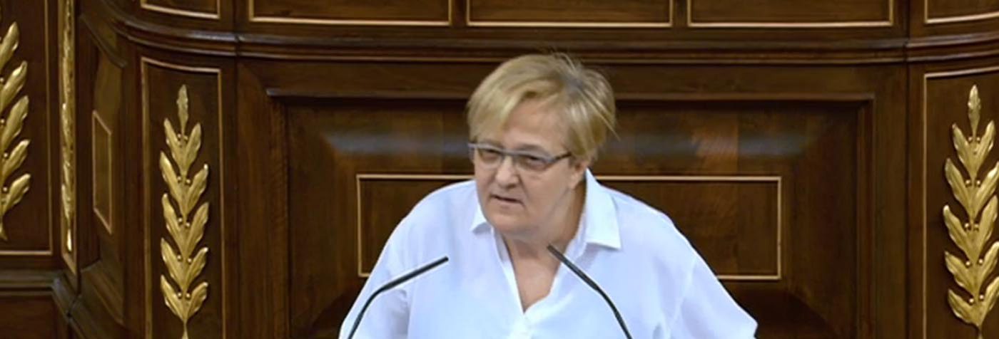 Ángeles Álvarez: “Hemos tejido un gran consenso en la lucha contra la ...