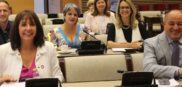 Luz verde a dos iniciativas socialistas sobre la implantación de la Tarjeta Europea de ...